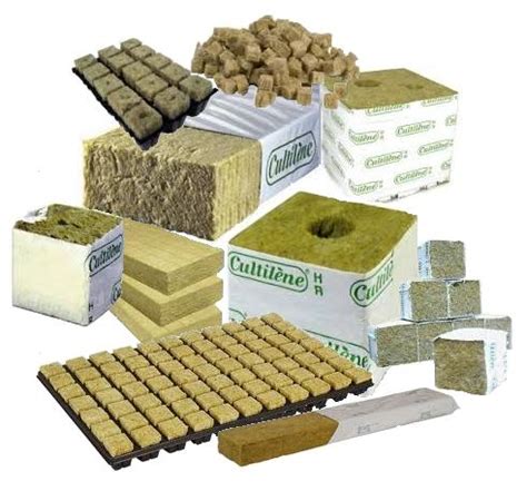 Uso De La Lana De Roca Para Germinaci N De Cannabis