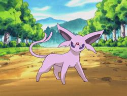 Espeon Di Sakura Pokémon Central Wiki