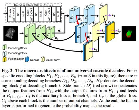 Cascade Decoder A Universal Decoding Method For Biomedical Image