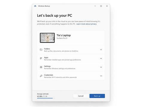 Windows Gets Cloud Backup Gadget Advisor