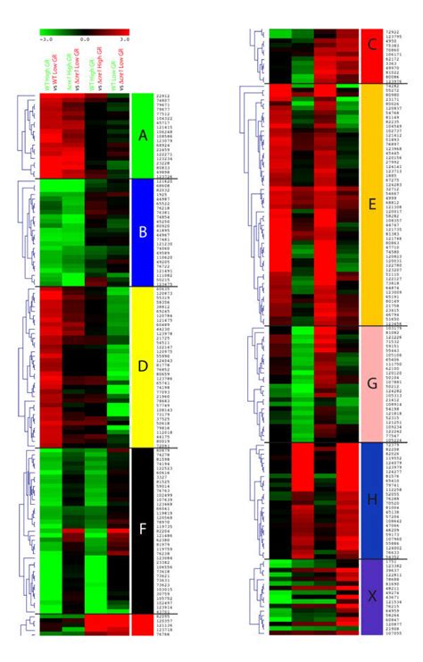 heat map of strongly expressed genes heat map displaying the result