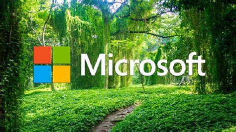 microsoft bosque el nuevo lenguaje de programación tecnología