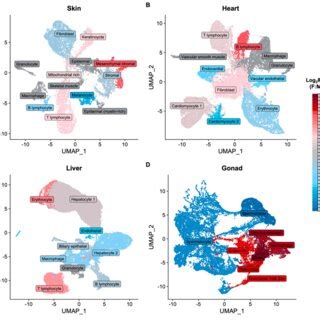 759 Figure 1 Differential Cell Type Abundance Between Males And Download Scientific Diagram