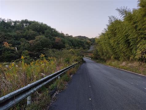 Japan Nature 일본 Pixabay의 무료 사진 Pixabay