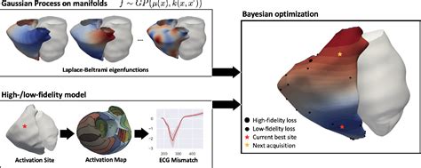Figure 1 From Learning Cardiac Activation Maps From 12 Lead Ecg With Multi Fidelity Bayesian