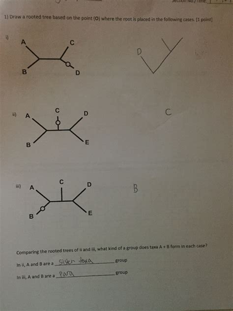 Solved 1 Draw A Rooted Tree Based On The Point 0 Where Chegg Com