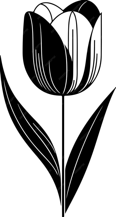 Premium Vector Black Outline Tulip Vector Illustration
