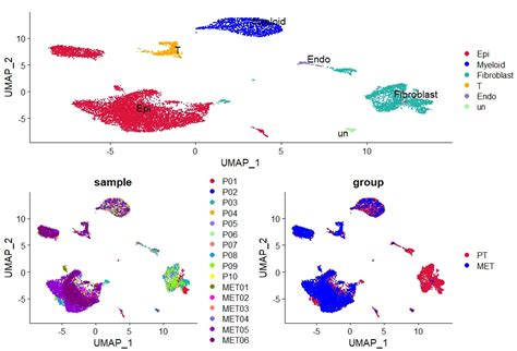 Scrna分析单细胞文献fig1中的分组umap图和细胞比例柱形图 阿里云开发者社区
