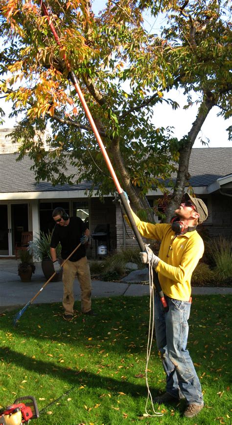 Tree Trimming Landcrafters