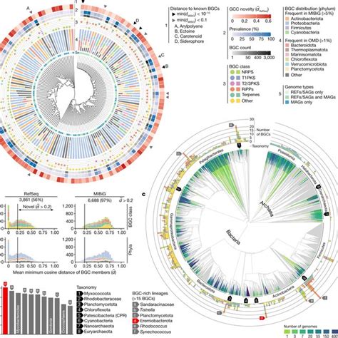 Pdf Biosynthetic Potential Of The Global Ocean Microbiome