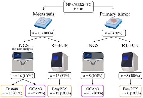 Analytical Performance Of Next Generation Sequencing And Rt Pcr On Formalin Fixed Paraffin