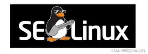 Selinux深度解析：安全增强型linux的探索与应用（上）selinux详细发展历史 Csdn博客