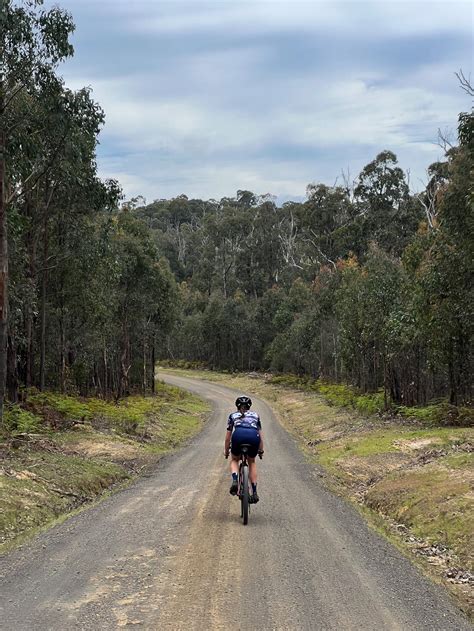 Wandong Regional Park Gravel Bike Routes