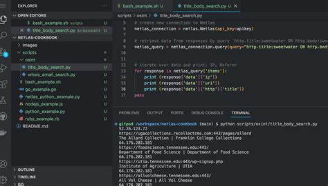 Github Netlas Ionetlas Cookbook The Goal Of This Guide Is Very