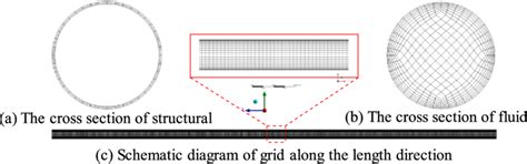 discretization results of structures and fluids in coupling simulation
