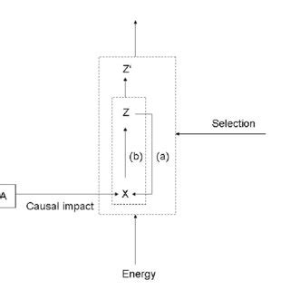 Function And Causality Download Scientific Diagram