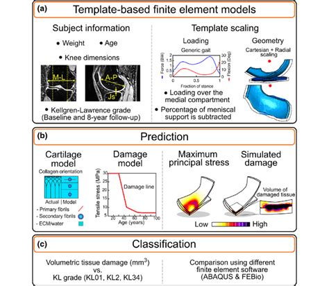 Workflow Of The Present Study A Generation And Simulation Of The Download Scientific Diagram