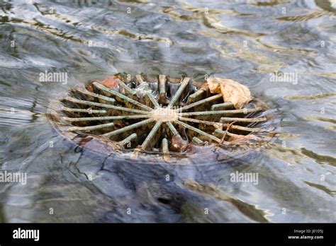 Overflow Drain Hi Res Stock Photography And Images Alamy