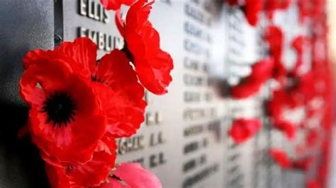 8 травня — День памяті та перемоги над нацизмом у Другій світовій війні Управління освіти і