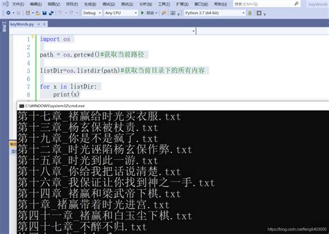 python获取当前路径下所有文件 python读取当前路径下的文件 csdn博客