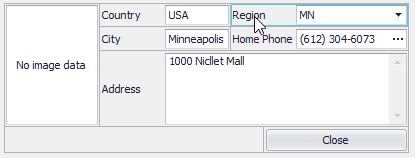 Layout Control WinForms Controls DevExpress Documentation