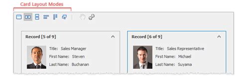 Layout View WinForms Controls DevExpress Documentation