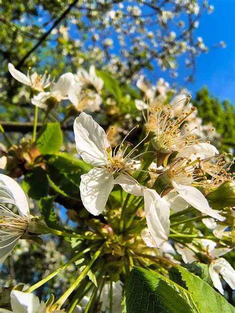 Motorola Edge Fusion Recenze P Kn Odoln A Lehk Telefon M Adu Pozitiv P Esto M Sty