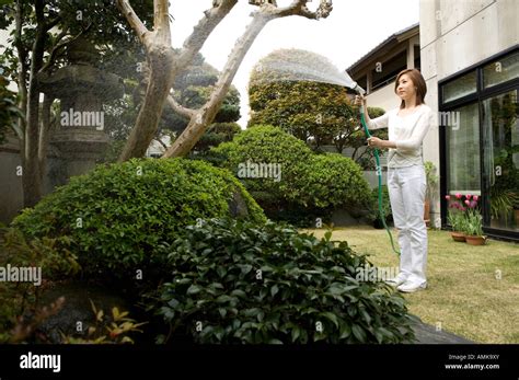 Mid Adult Woman Watering Trees Stock Photo Alamy