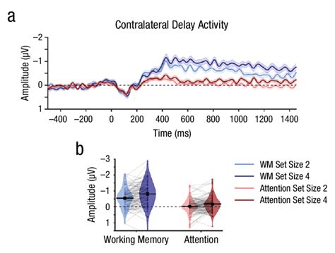 Contralateral Delay Activity Cda Cda Amplitude Over Time A Is Download Scientific Diagram