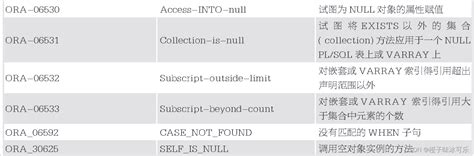 Oracle运行时错误详解：预定义、非预定义与用户定义异常 Csdn博客