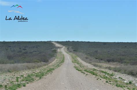 Pichi Mahuida Las PequeÑas Sierras Más Campo Periodismo De Campo