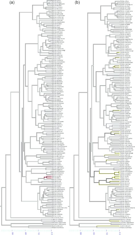 Parsimony Reconstruction Of The Evolution Of Dorsal Colour Amongst 138
