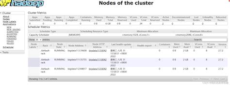 hadoop环境快速搭建（伪分布式和完全分布式步骤版） 从hadoop伪分布到完全分布如何安装 csdn博客