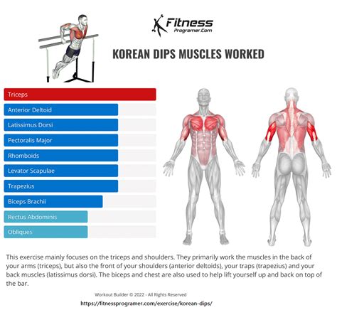 Triceps Dips Build Muscle At Willie Cloer Blog