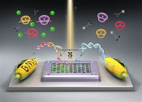 A Localized Crispr Assay That Detects Short Nucleic Acid Fragments In