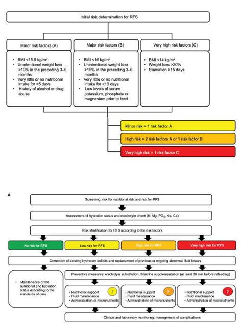 Refeeding Syndrome Pdf