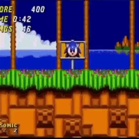 Fat Sonic The Hedgehog 