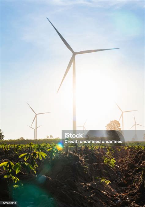 풍력 터빈 농장은 대체 전기 원 지속 가능한 자원의 개념 여름에는 풍력 발전기 터빈을 배경으로 오렌지 햇빛 재생 에너지 개념입니다 가을에 대한 스톡 사진 및 기타 이미지