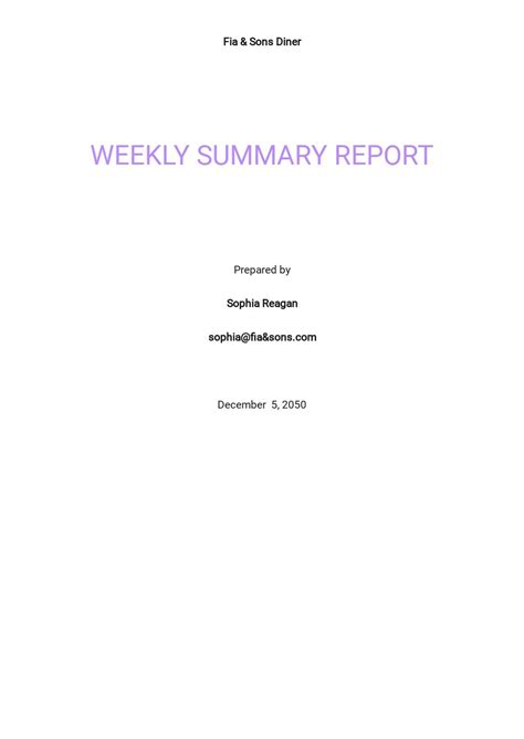 Weekly Summary Report Template Free PDF Google Docs Word Template Net