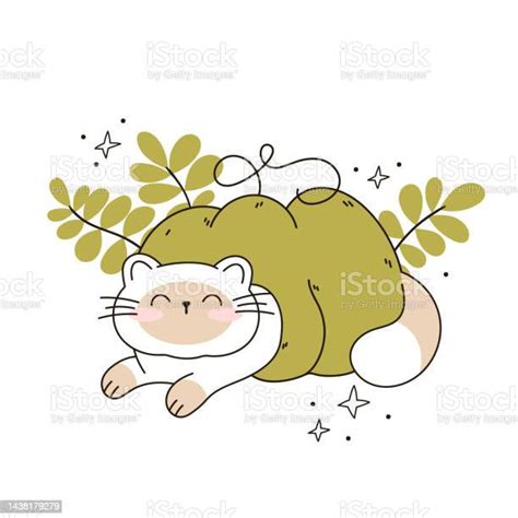 추수 감사절과 가을 가을 벡터 일러스트 레이 션 고양이 캐릭터 컬렉션을 위해 호박과 함께 호박과 함께 호박 귀여운 고양이에 누워있는 재미있는 고양이를 그립니다 낙서 만화