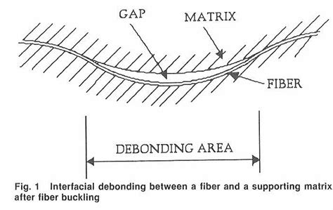 Figure 1 From Static And Dynamic Buckling Of A Fiber Embedded In A