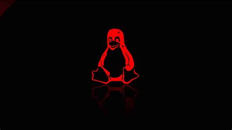 Linux Malware Sees 35 Growth During 2021 Privacy Ninja