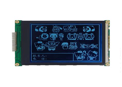 Custom Graphic Lcd Module Mono Dfstn Negative Display Screen
