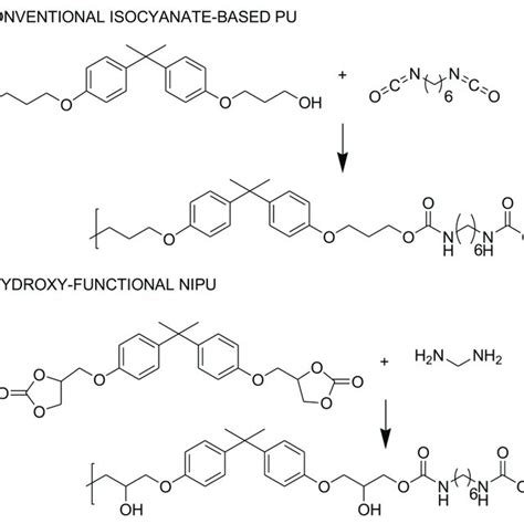 Scheme Representation Of The Tannin Based Non Isocyanate Polyurethanes Download Scientific