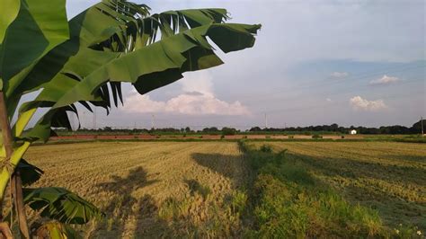 01 2 浅谈可靠性设计：为什么可靠性设计比单一安全系数法更科学？ 知乎