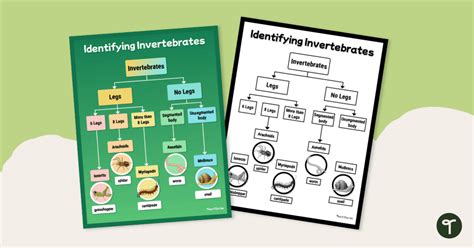 Invertebrates Classification Chart