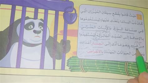 غابات البامبو لغه عربيه للصف الثالث الابتدائي المنهج الجديد 2022 Youtube