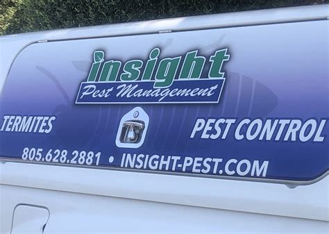 Cockroach Prevention Tips From Insight Pest Management