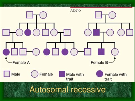 Notes Pedigrees What Is It Ppt Download