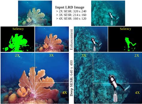 The Proposed Deep Sesr Model Offers Perceptually Enhanced Hr Image Download Scientific